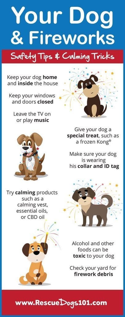 How to help dog fireworks anxiety (+10 Tips)