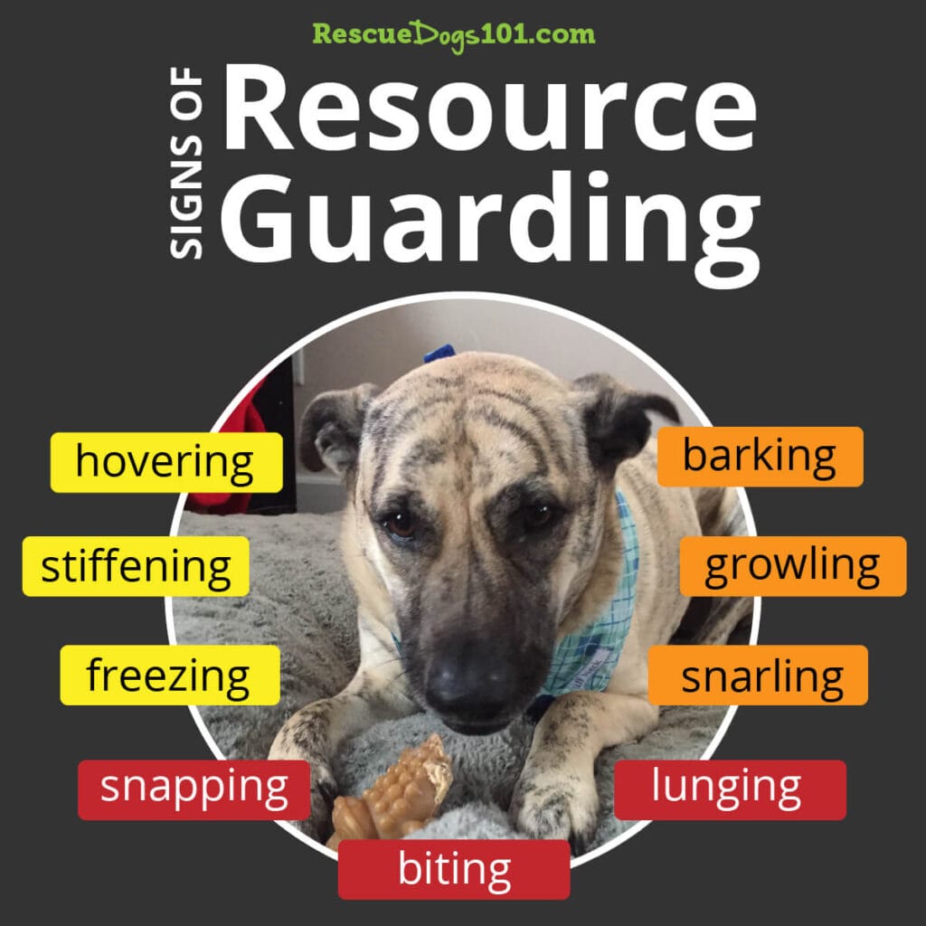 Resource Guarding: What You Need to Know