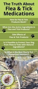 WARNING! The Hidden Dangers of Flea and Tick Medications