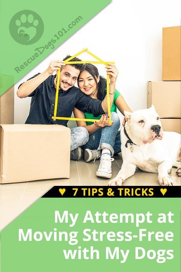 Moving with Dogs - 7 Tips & Tricks