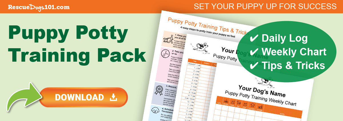 How to Potty Train a Puppy Fast & Easy