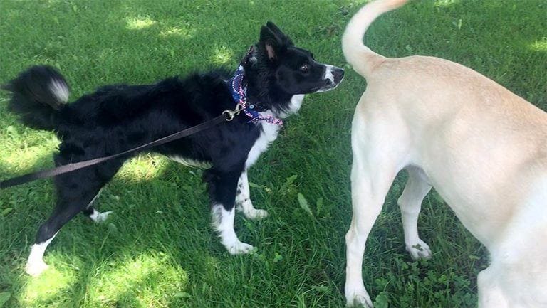 Our Heartbreaking, Gut Wrenching Adoption Story