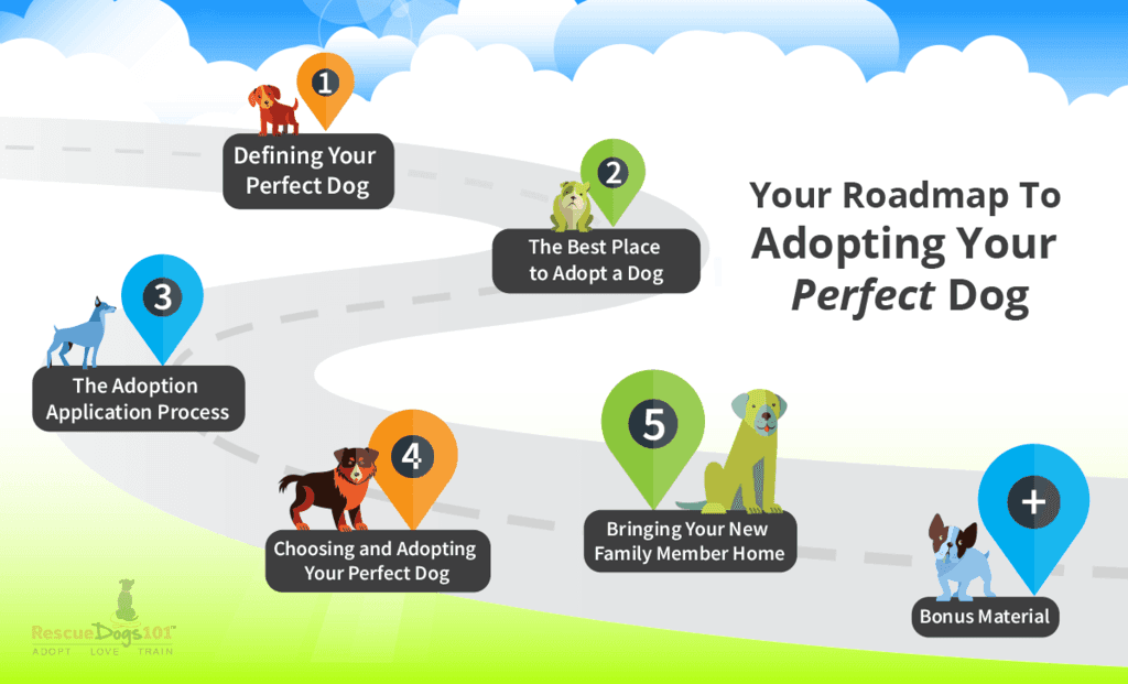 How To Adopt A Dog – Your Step-by-Step Guide