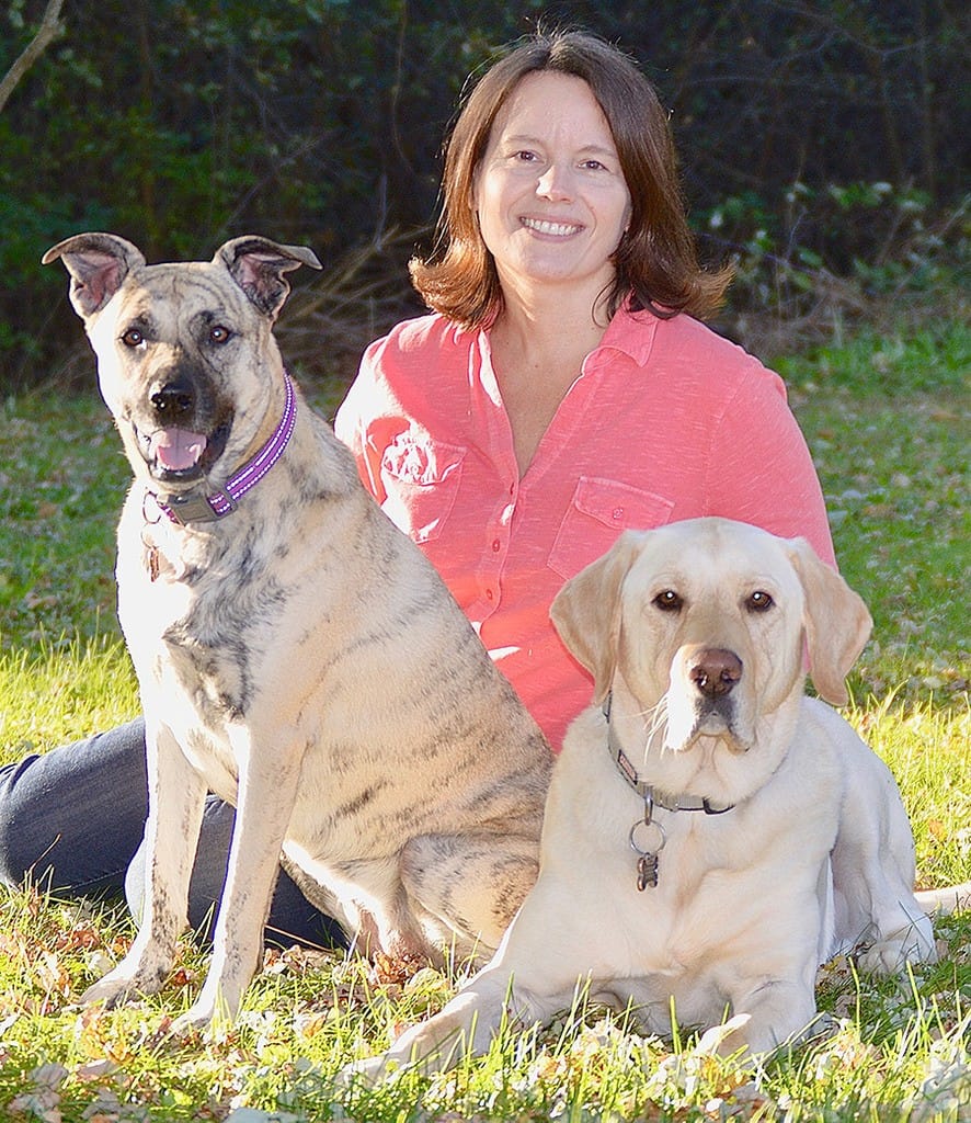 Welcome - Rescue Dogs 101