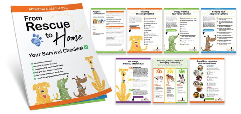 From Rescue to Home, Your Survival Checklist - Rescue Dogs 101