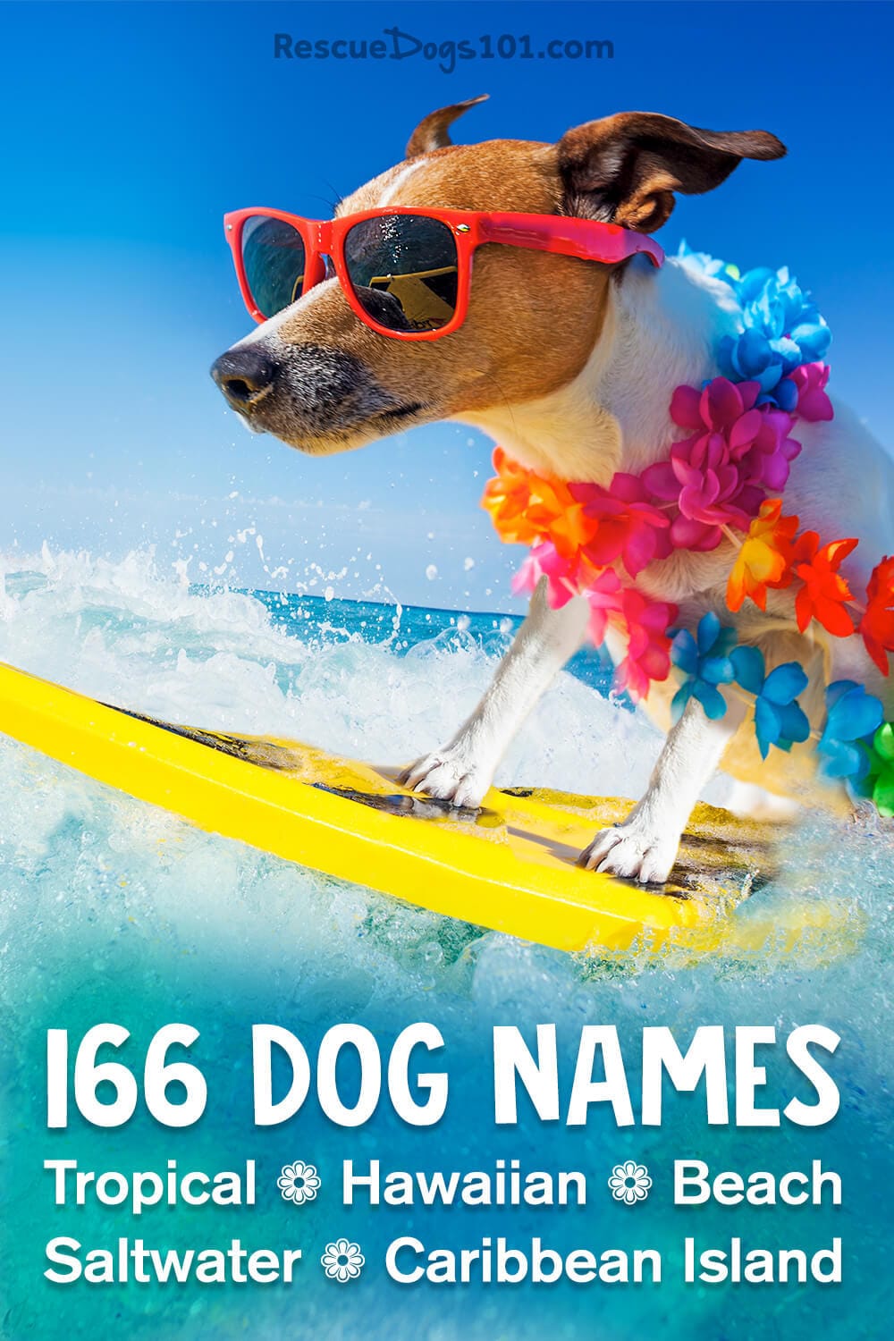 Tropical – Hawaiian – Beach – Saltwater – Caribbean Island Dog Names