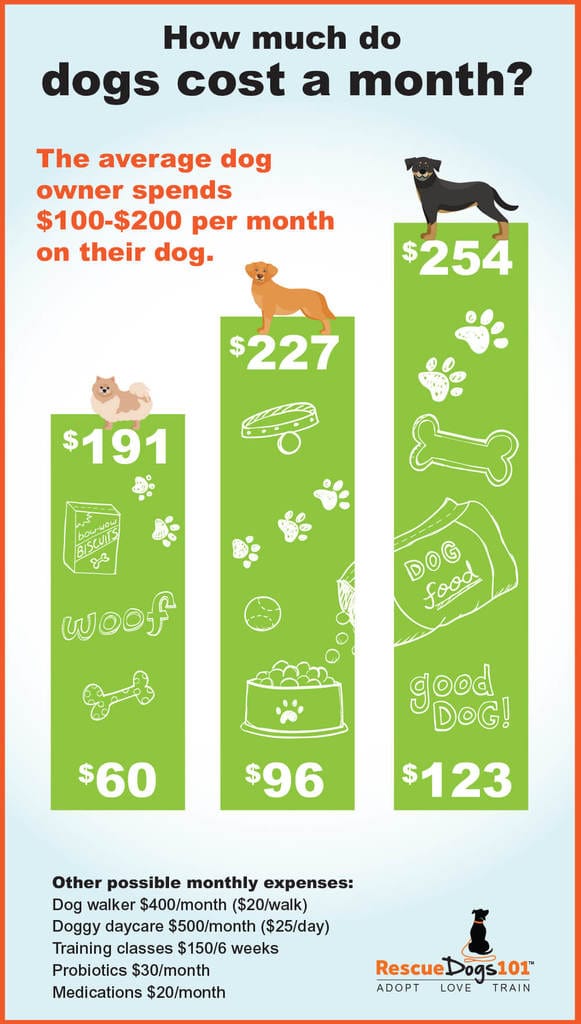 How Much Does A Dog Cost Per Month 