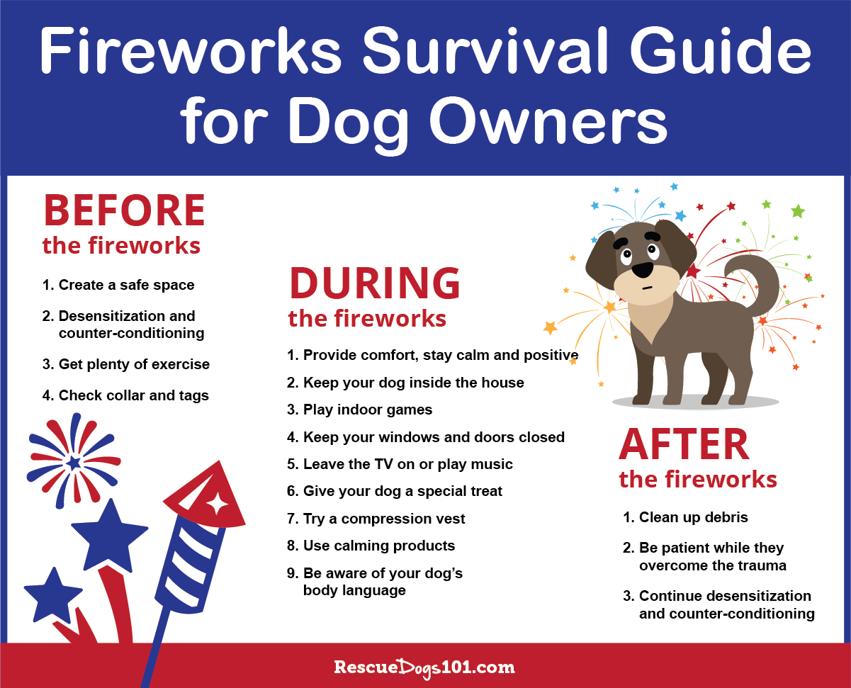 Fireworks Survival Guide for Dog Owners