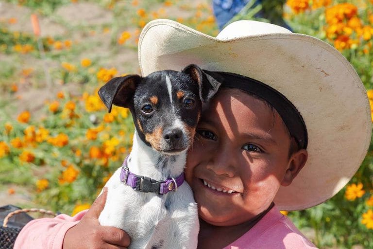 Best Mexican Dog Names with Meanings