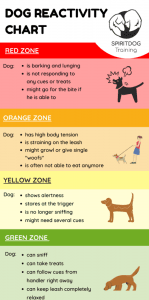 Your reactive dog (socialize, training, chart)
