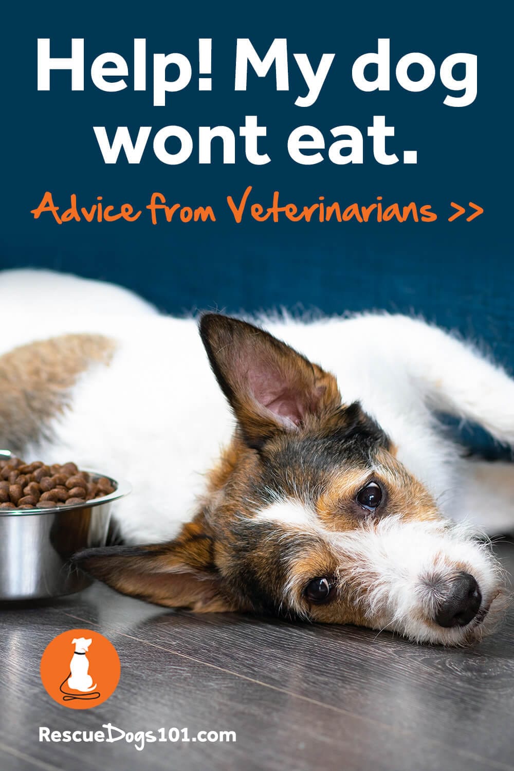 How long can a dog go without eating?