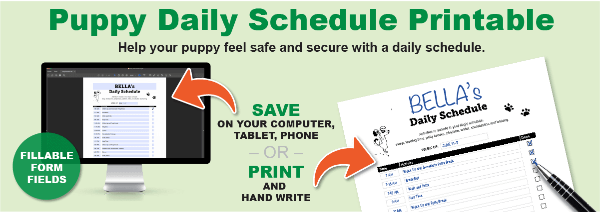 How to Train a Puppy– First Things First – 23 Tips & Tricks