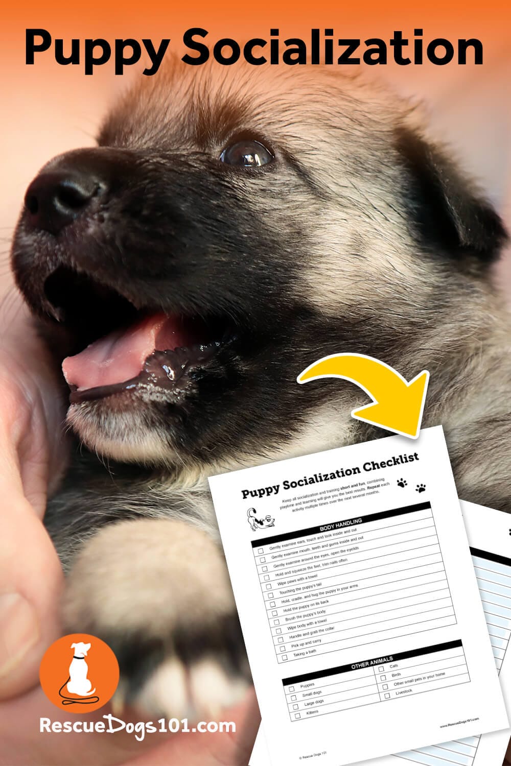 Puppy Socialization Checklist