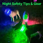 Walking at Night with Your Dog – 26 Safety Tips & Gear