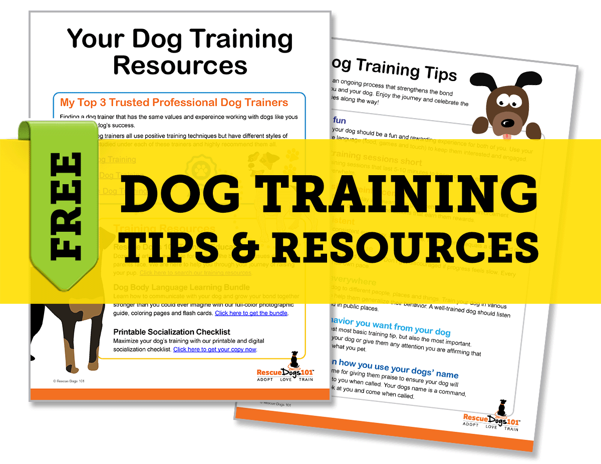 Dog Training Resources & Tips - Rescue Dogs 101
