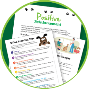 Thank You – Super Dog Confidence Toolkit - Rescue Dogs 101