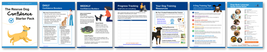 Dog Training Resources & Tips - Rescue Dogs 101