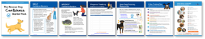 Dog Training Resources & Tips - Rescue Dogs 101
