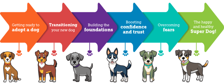 Rescue Dogs 101 - Rescue Dogs 101