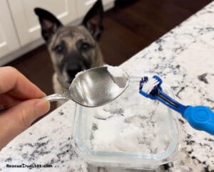 5 Homemade Dog Toothpaste Recipes