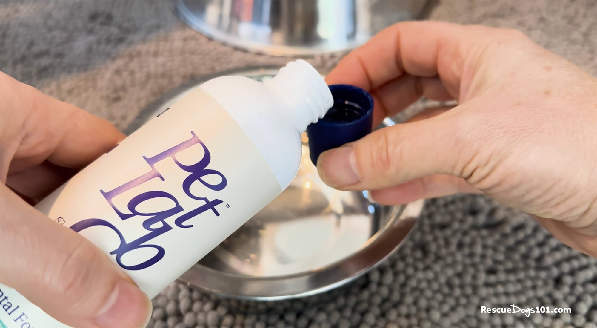 How to Naturally Clean Your Dog’s Teeth Without Brushing