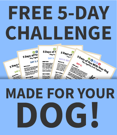 Free 5 Days of Fun With Your Dog Challenge - Rescue Dogs 101