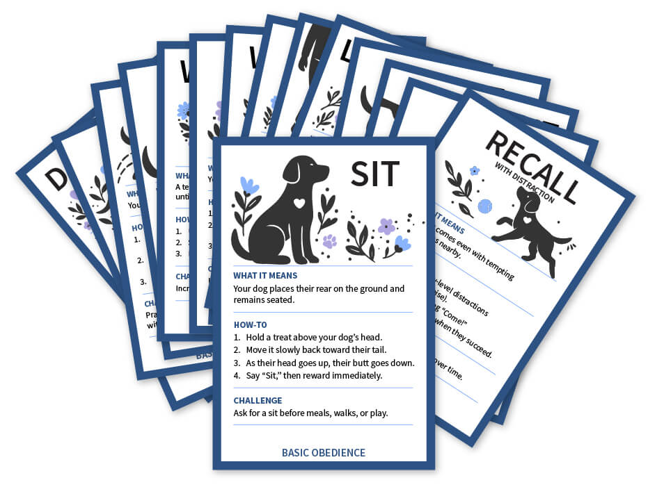 Thank You – Dog Training Flash Cards - Rescue Dogs 101