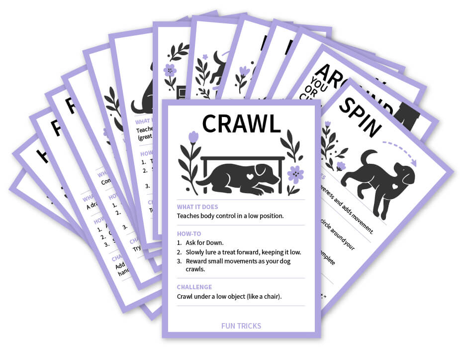 Thank You – Dog Training Flash Cards - Rescue Dogs 101